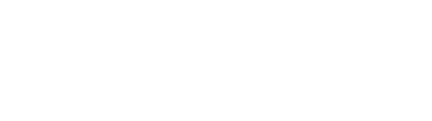 ARENA: el software aliado en las mejores decisiones empresariales